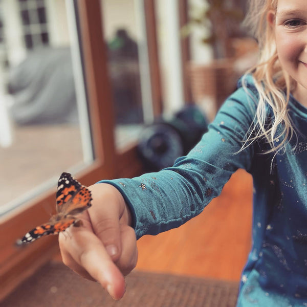 National Insect Week ~ Celebrating Biodiversity – Toastie