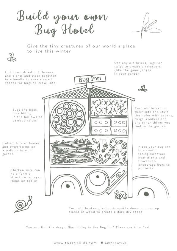 How to Build a Bug Hotel – Toastie