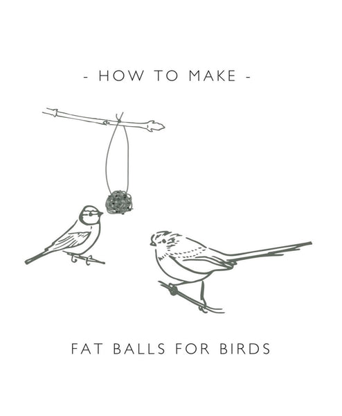 Big Garden Birdwatch | Make Fat Balls for the Birds – Toastie